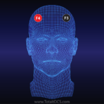 tDCS Electrode Placement Guide - Total tDCS